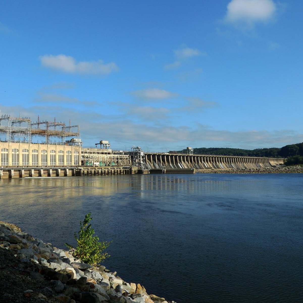 Conowingo Dam 2025 - Active A's